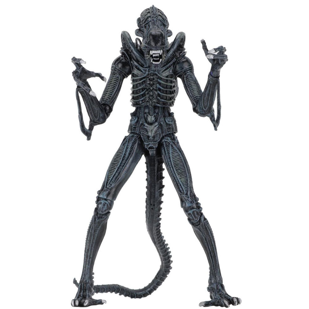 NECA Aliens Alien Warrior Blue Ultimate Edition 7-inch xenomorph toy ...