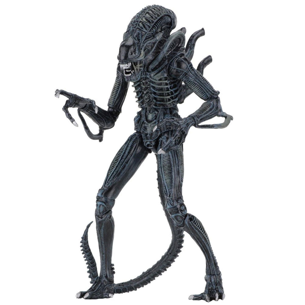 NECA Aliens Alien Warrior Blue Ultimate Edition 7-inch xenomorph toy ...