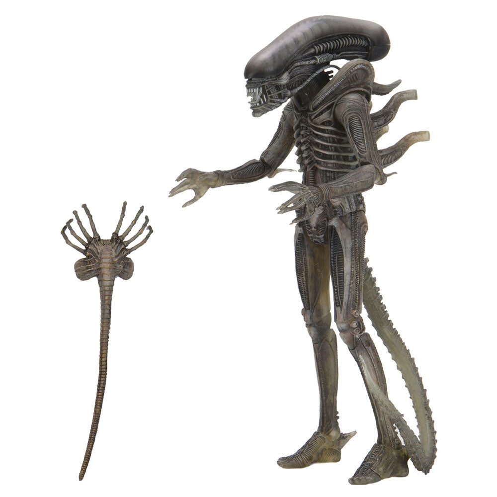 NECA Alien 40th Anniversary Giger Edition Xenomorph Figure Target Toy ...